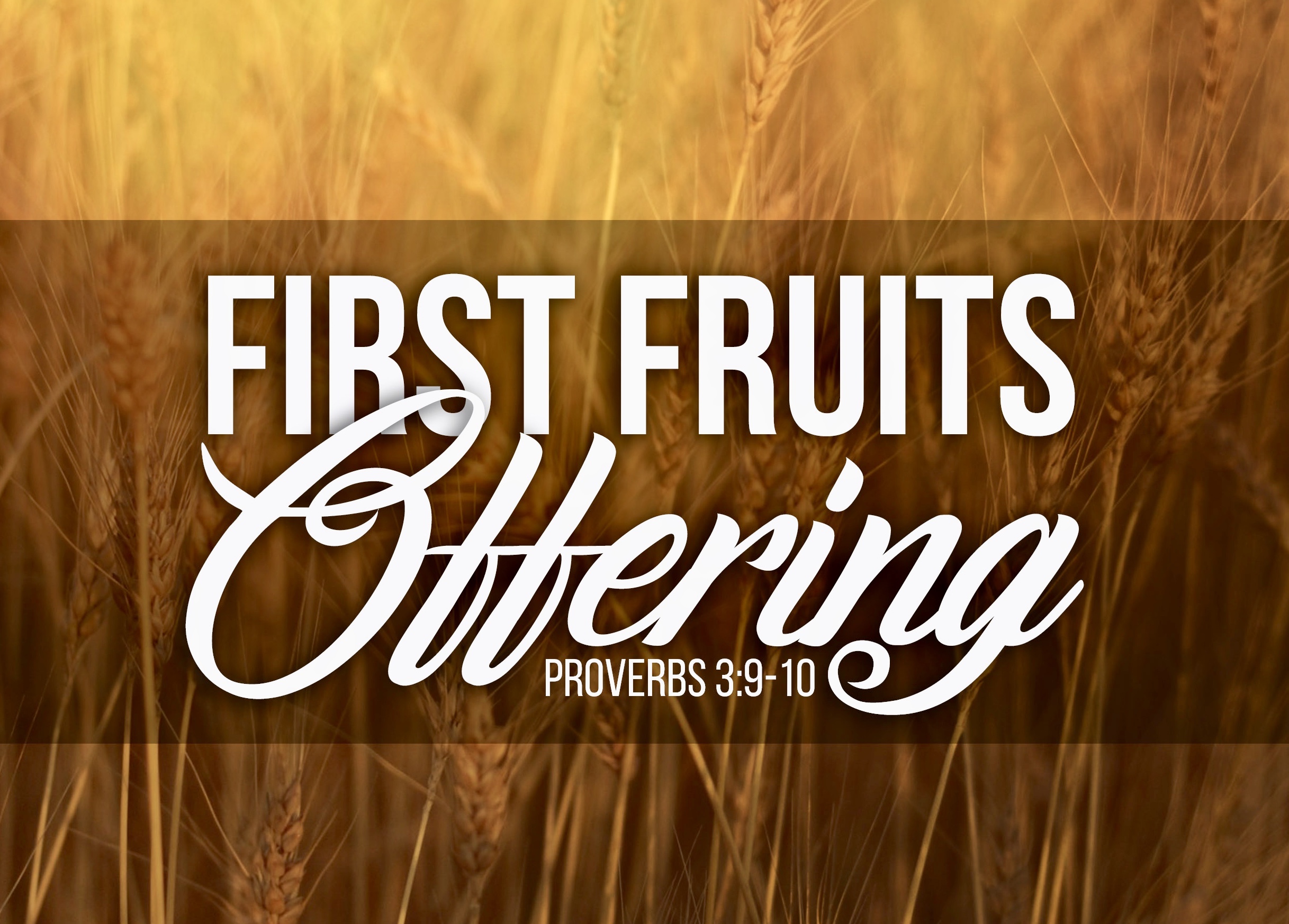 Your Vats Will Overflow! – Oceans in the Desert