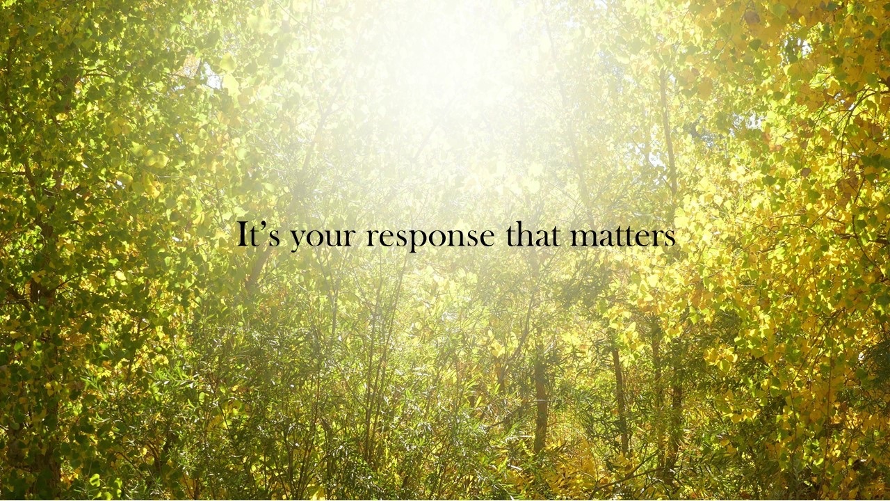 Your Response Matters! – Oceans in the Desert