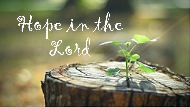 But Those Who Hope In The Lord… – Oceans in the Desert