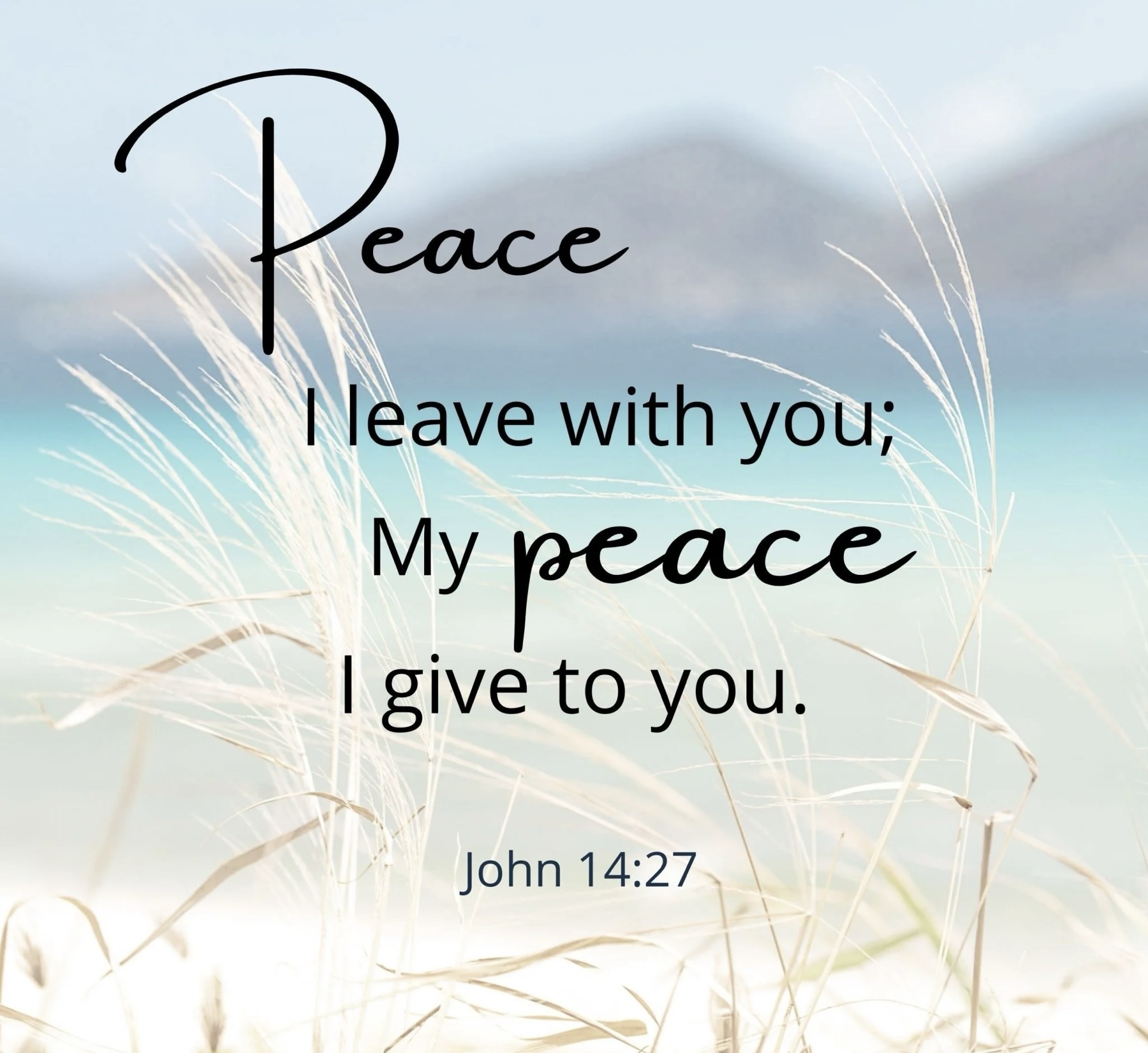 My Peace I Give To You – Oceans in the Desert